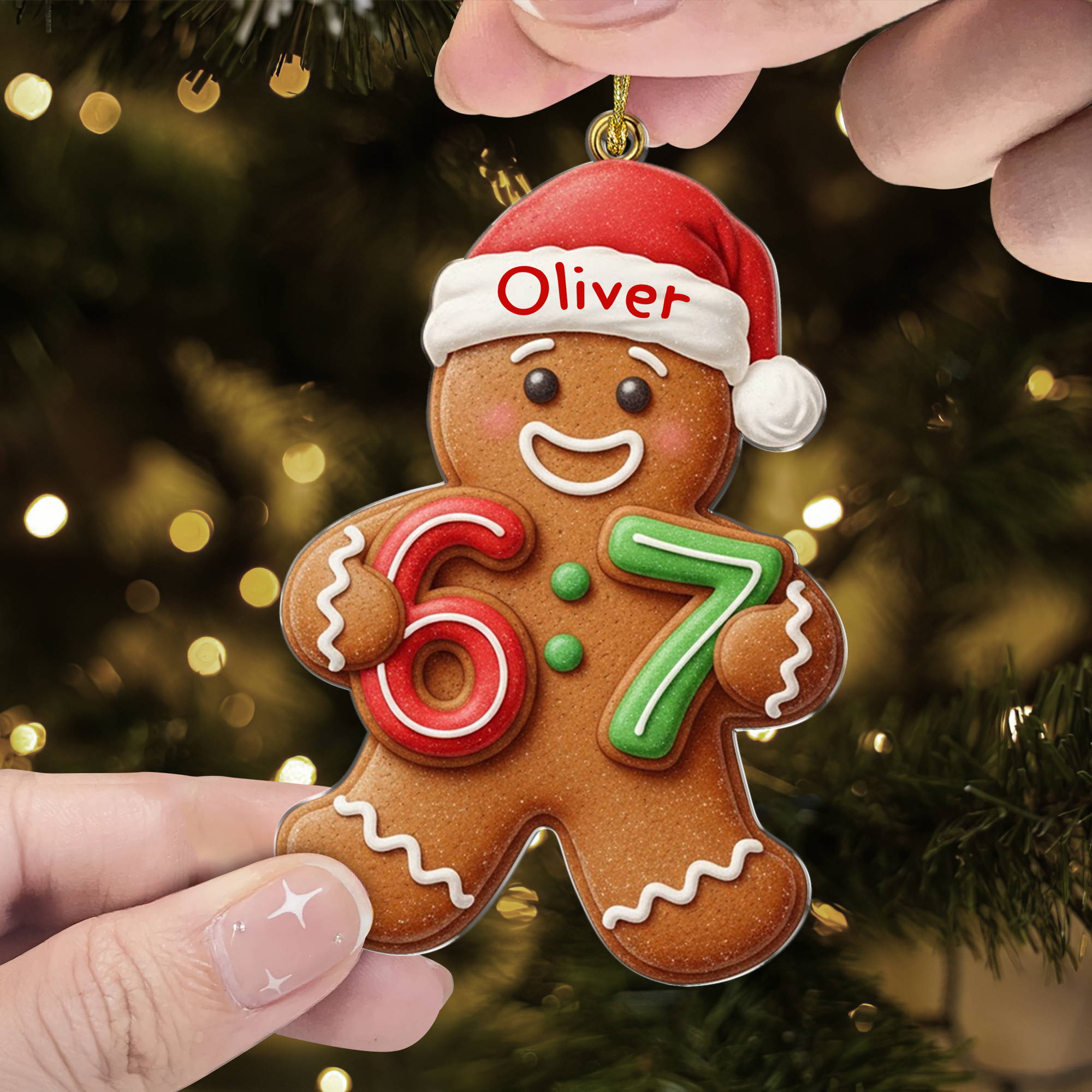 Personalized Set - 67 Ornament - Personalized Gingerbread 67 Acrylic ...