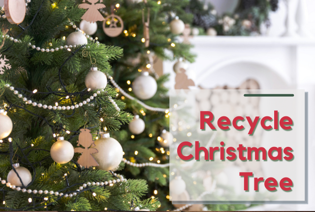 7 Ways To Recycle Christmas Tree To Celebrate The Holidays Sustainably
